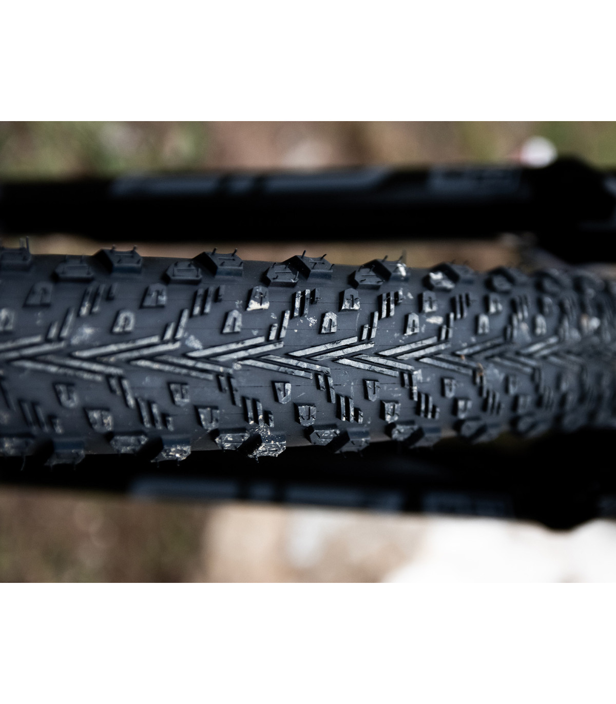 Peyote XC Race 29x2.25 TLR – Fast XC MTB Racing Tire